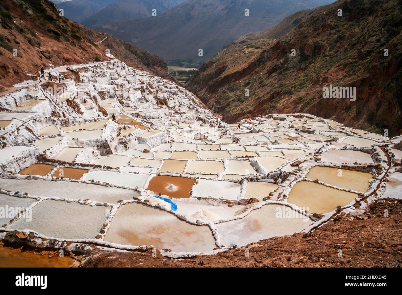 Salt cymbal hi-res stock photography and images - Alamy