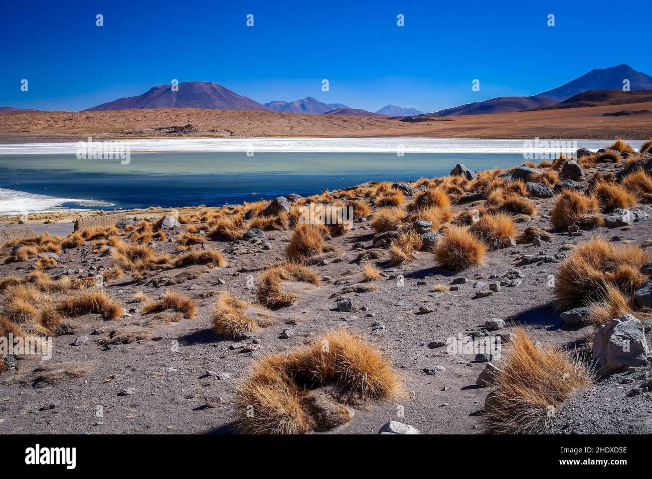 bolivia, salt sediment, arid, altiplano, bolivias, salt sediments ...