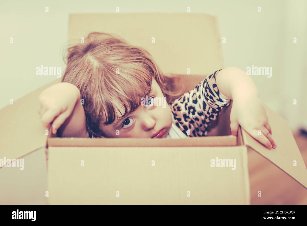 girl, hiding, carton, girls, hide, cartons Stock Photo - Alamy