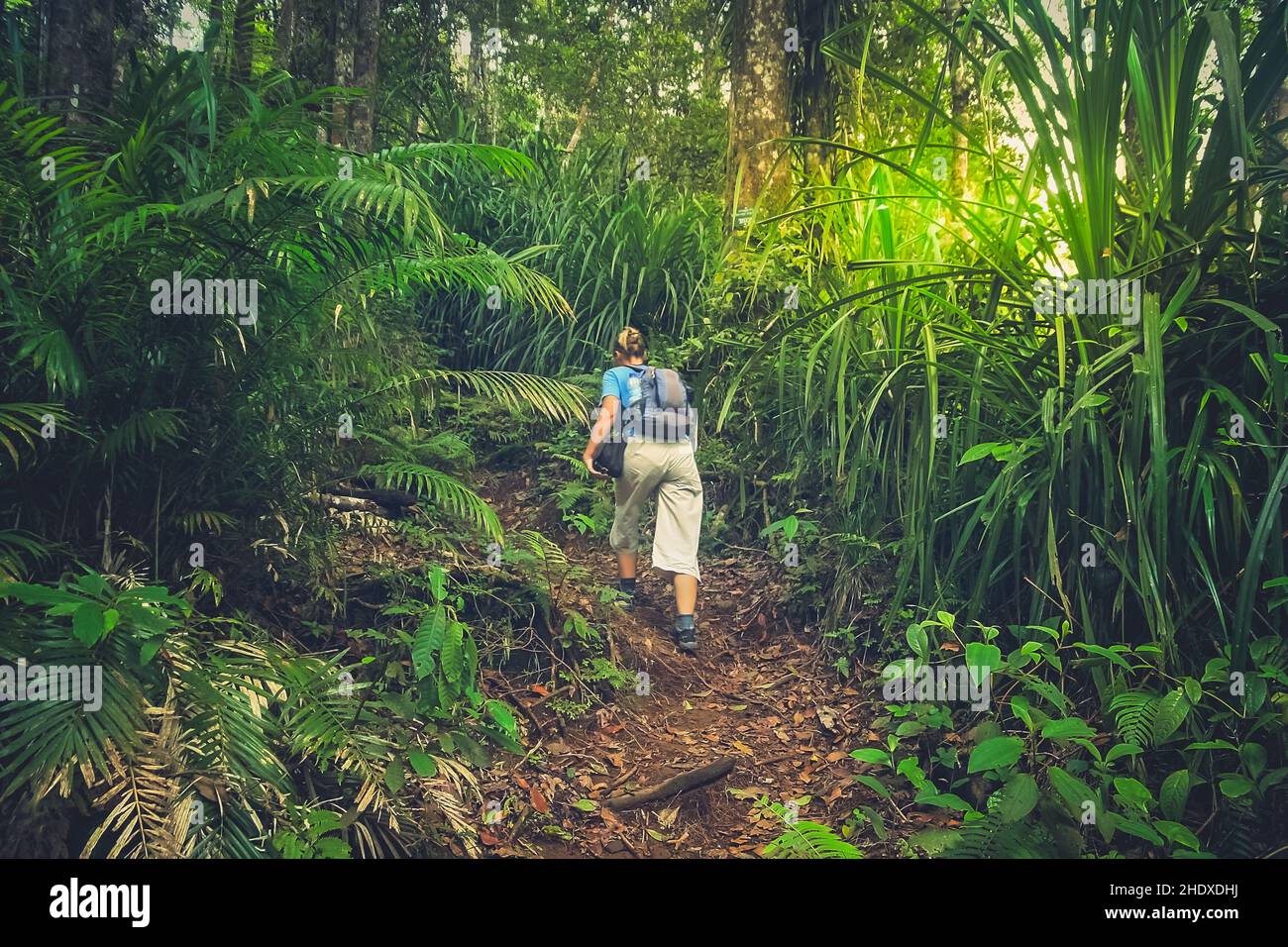 hiking, lombok, rinjani, lomboks Stock Photo - Alamy