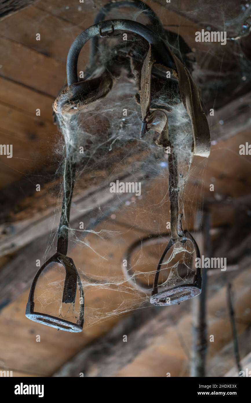 past, saddle, pasts, saddles Stock Photo - Alamy