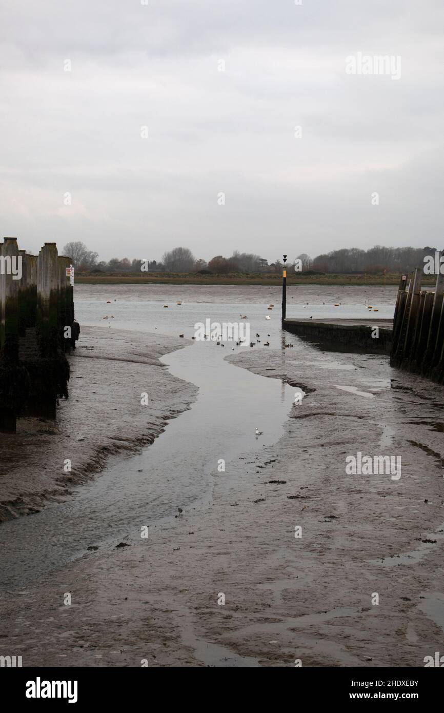 Bosham quay swans hi-res stock photography and images - Alamy