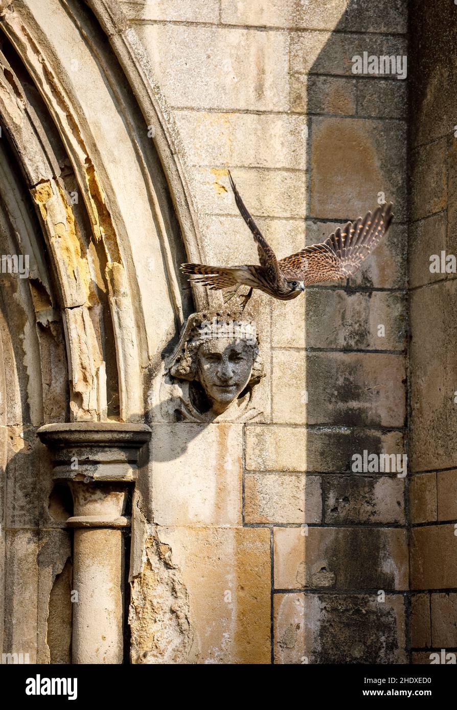 Flying by church hi-res stock photography and images - Alamy