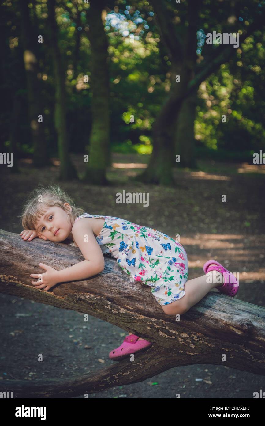 girl, embracing, tree, girls, cuddling, hug, hugging, trees Stock Photo ...