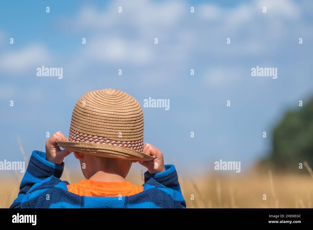 Boy Boys Male Kids Children Straw Hat High Resolution Stock Photography ...