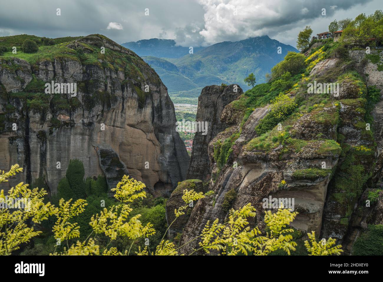 Kalampakas hi-res stock photography and images - Alamy