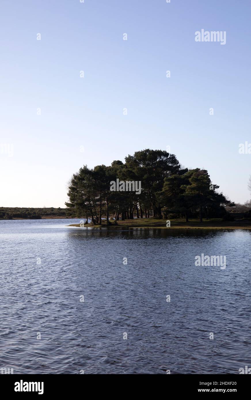 New river pond hi-res stock photography and images - Alamy