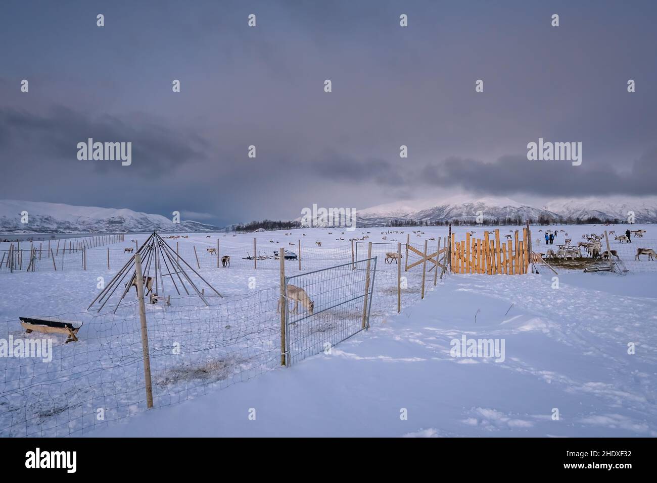 snow, norway, tromsø, snowy, norways, tromsøs Stock Photo - Alamy