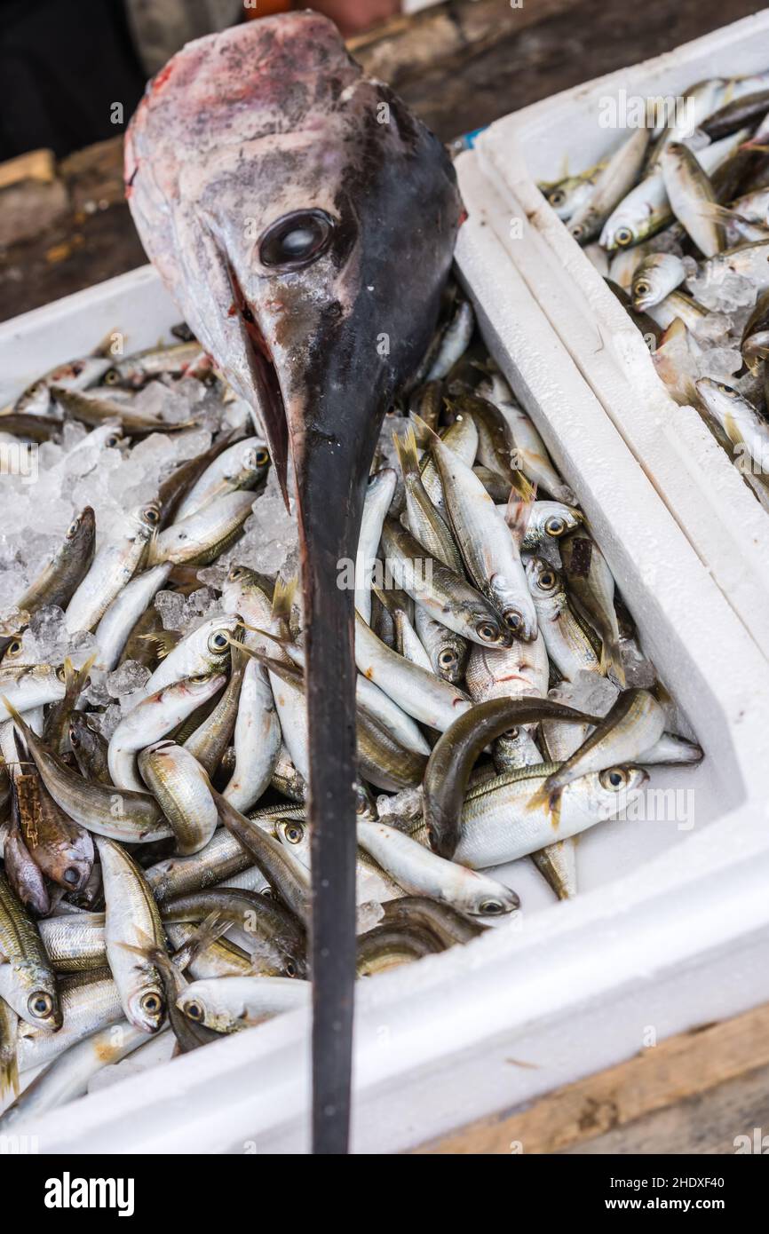 Chilled fish storage hi-res stock photography and images - Alamy
