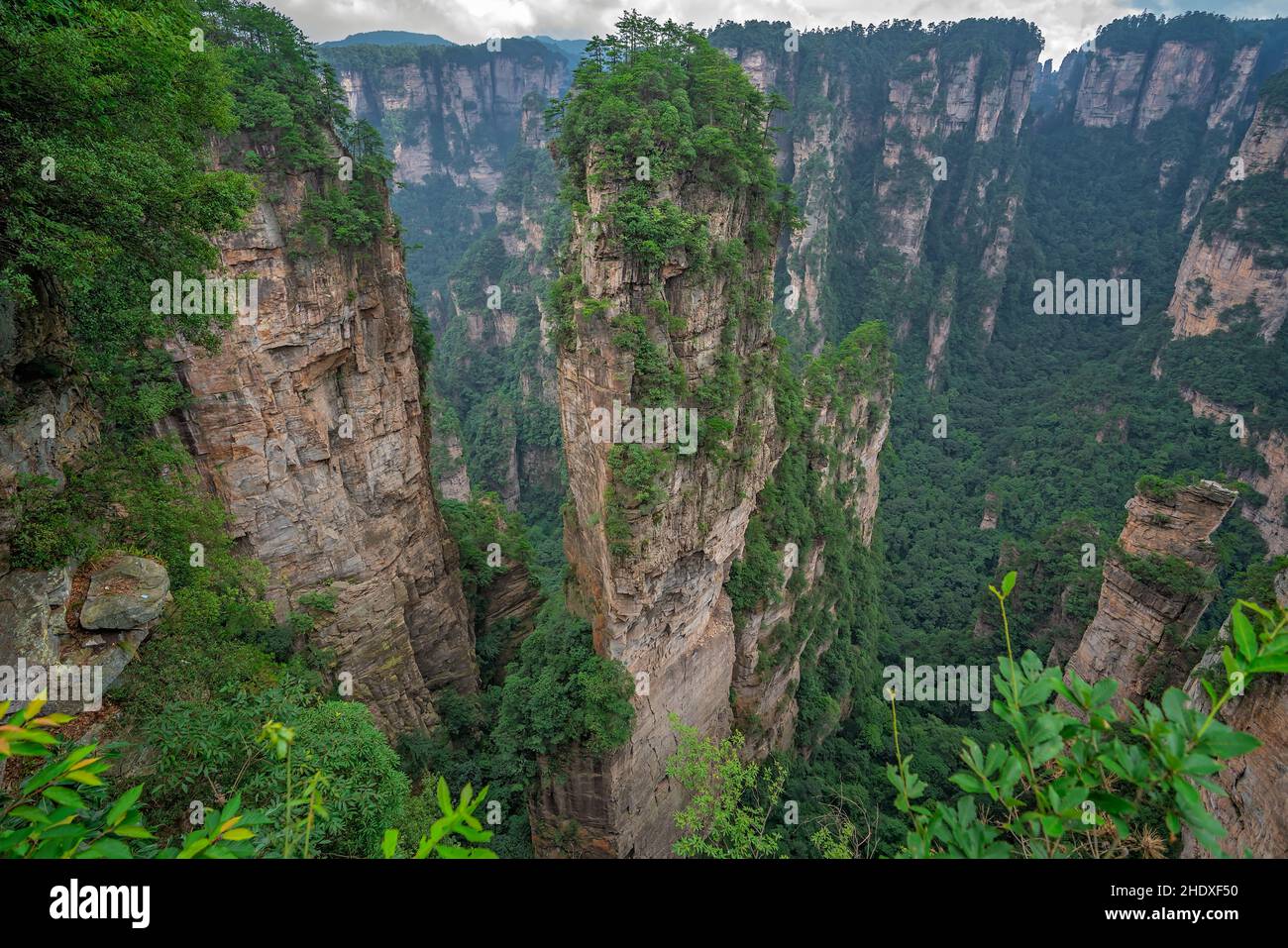 pinnacle, zhangjiajie national forest park, pinnacles Stock Photo - Alamy