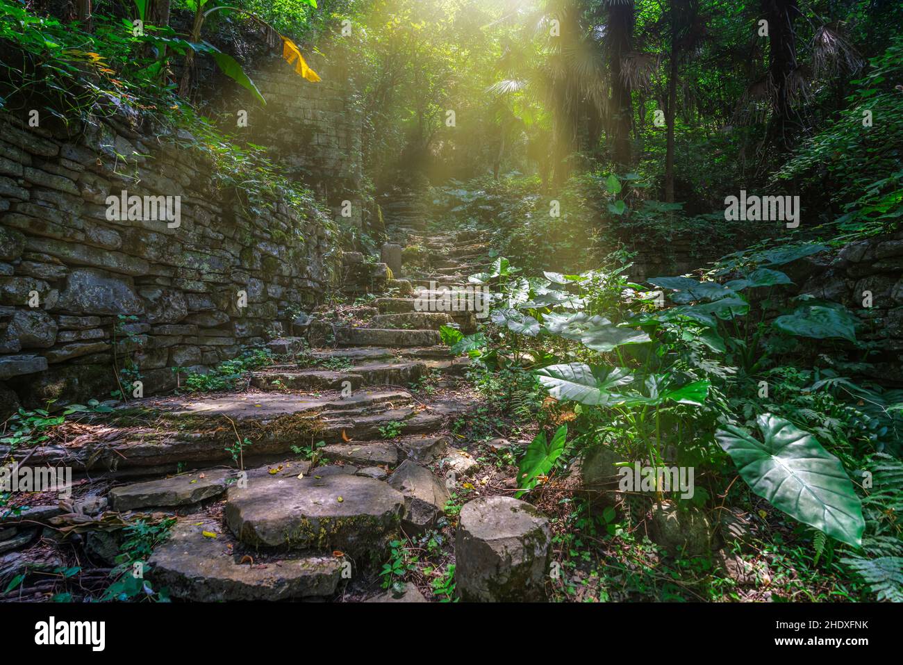 asia, sunbeams, mystical, stairs, asian, asias, sun beams, sun ray, sun ...