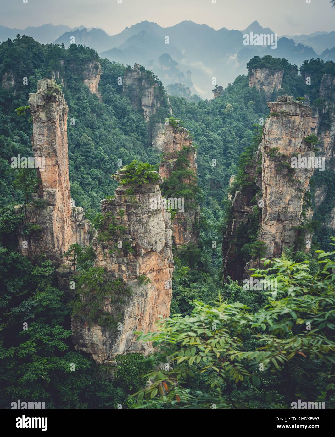 rock formation, wulingyuan, rock formations Stock Photo - Alamy