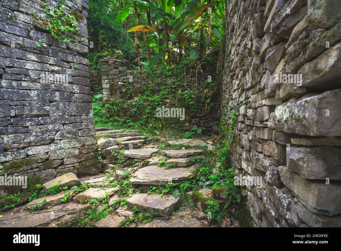 footpath, path, trail, footpaths, paths, trails Stock Photo - Alamy