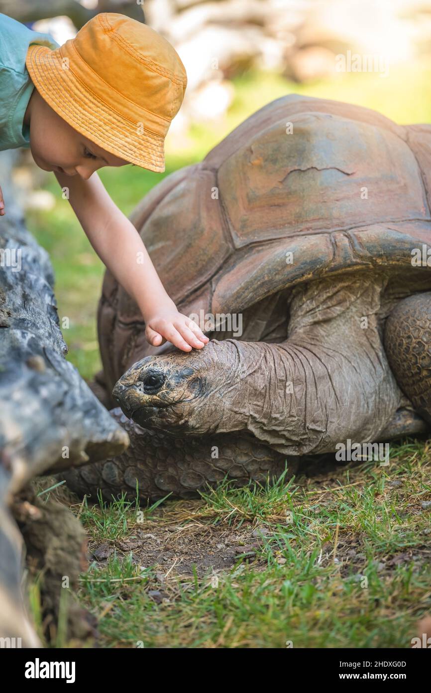 Trusting animals hi-res stock photography and images - Alamy
