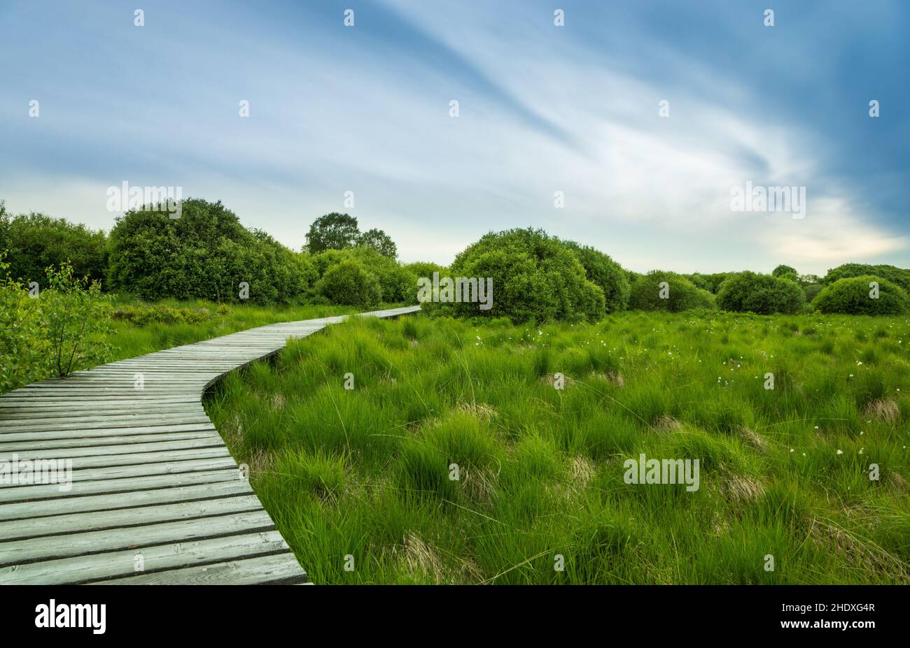 pier, swamp, bog, piers, swamps, bogs Stock Photo - Alamy