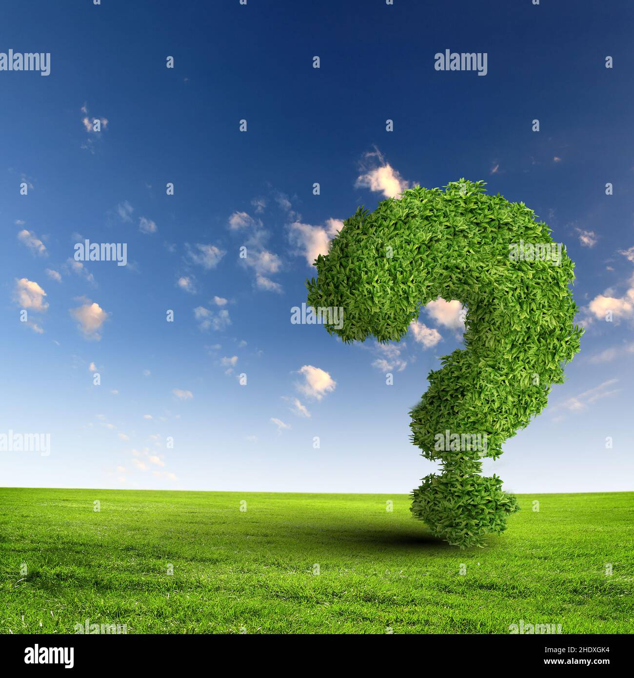 environment protection, question mark, sustainability, environment ...