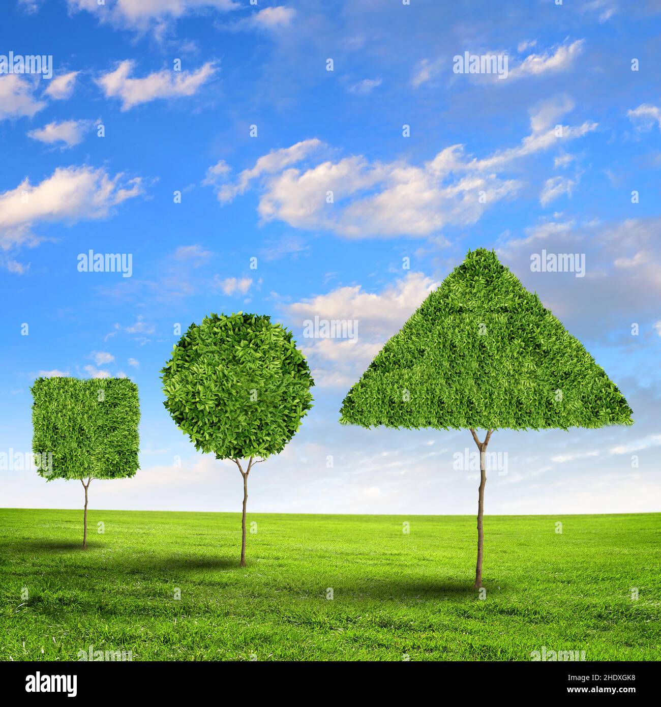 environment, geometry, environments, geometries Stock Photo - Alamy