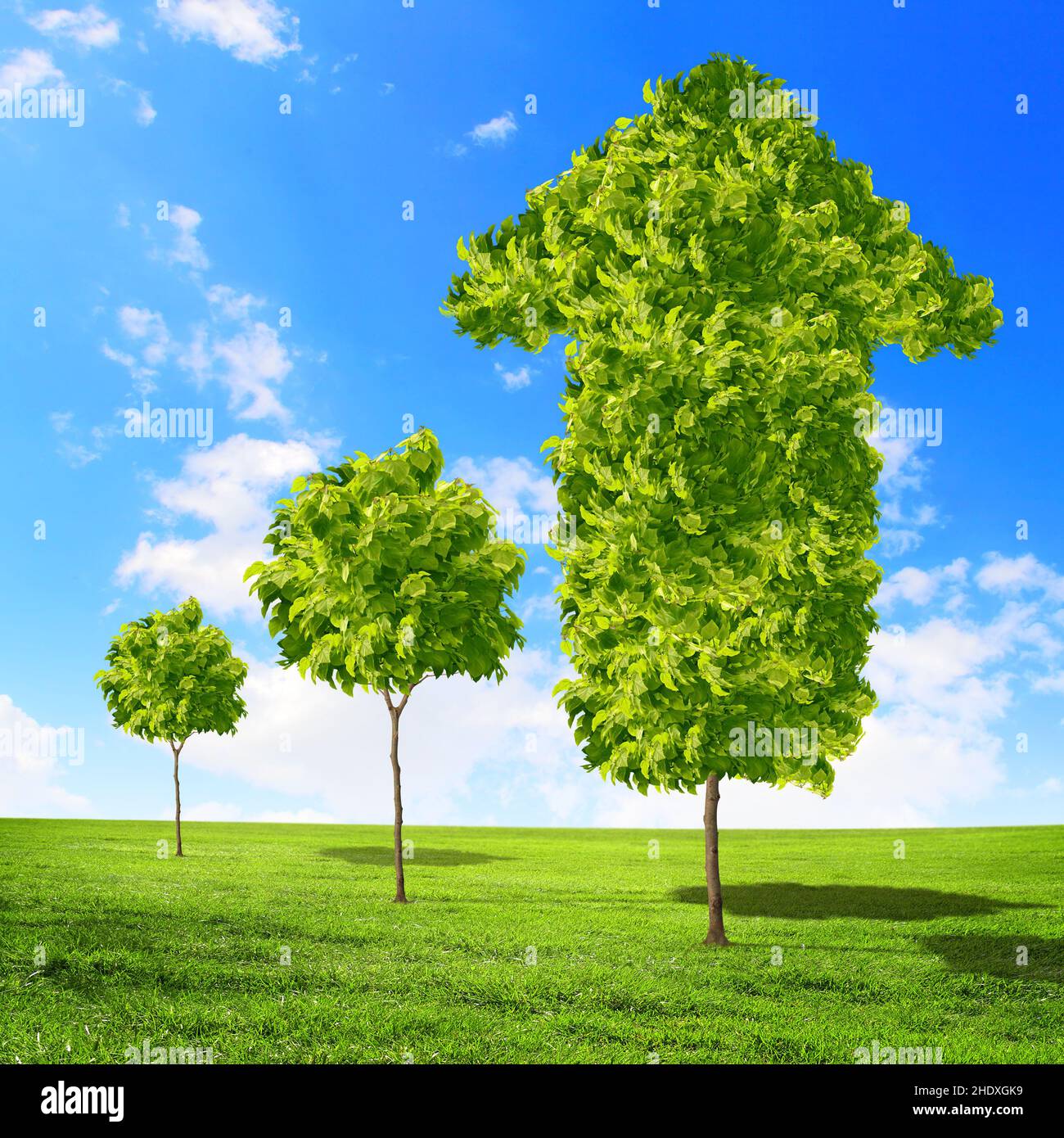 tree, growth, arrow, trees, growths, rise, arrows Stock Photo - Alamy