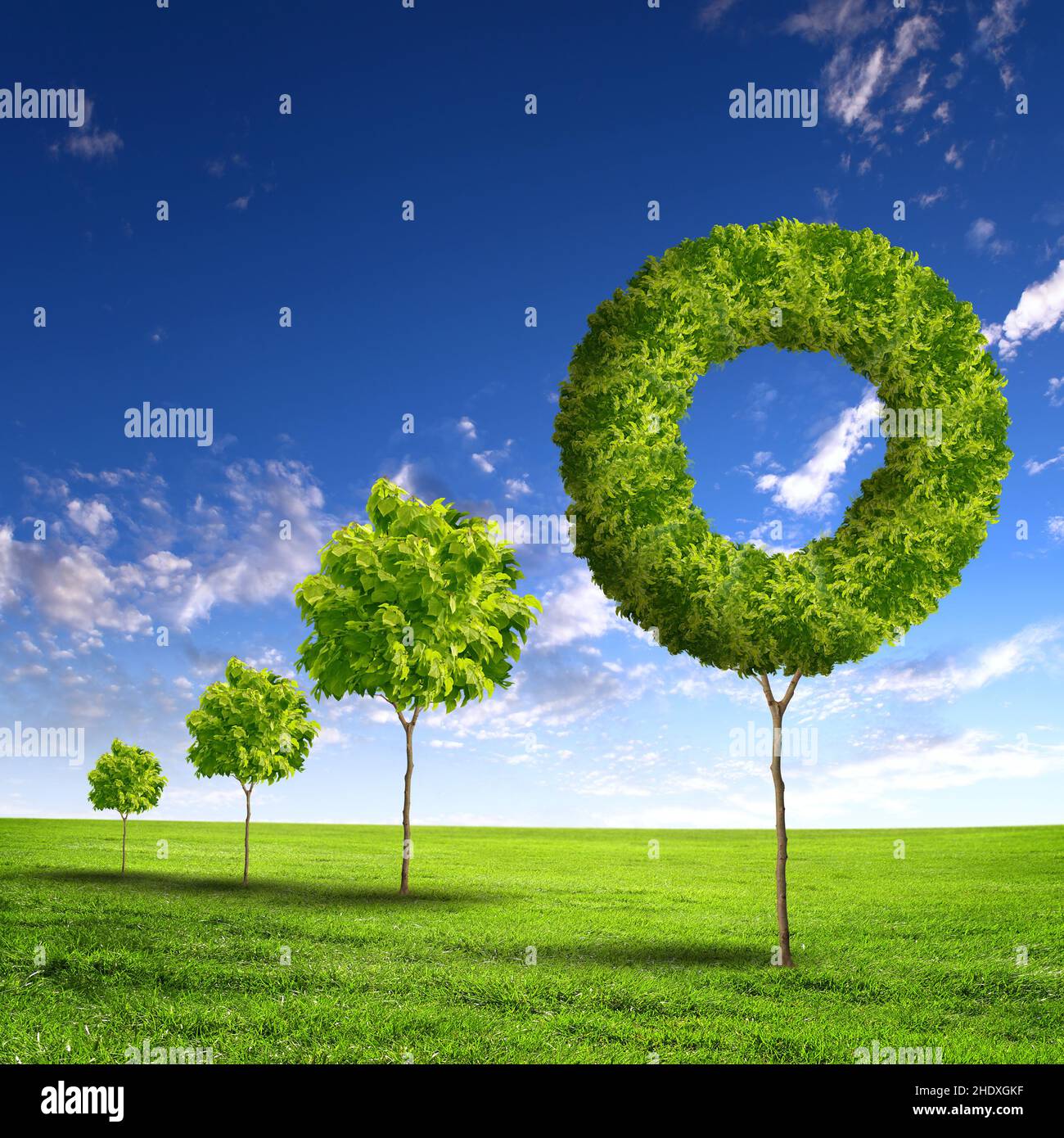 tree, environment, ring, trees, environments, rings Stock Photo - Alamy