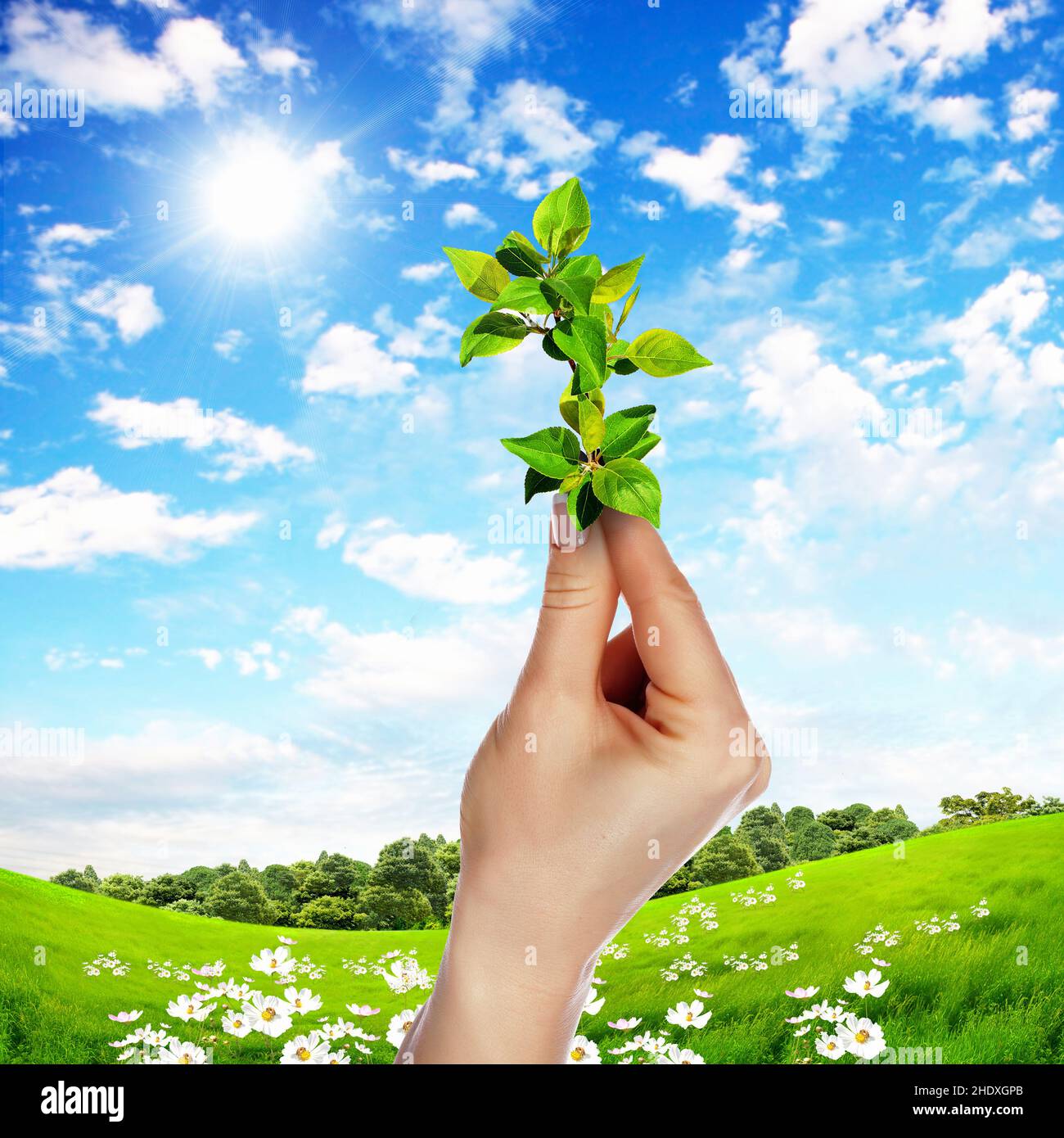 nature, growth, natur, natures, growths, rise Stock Photo - Alamy