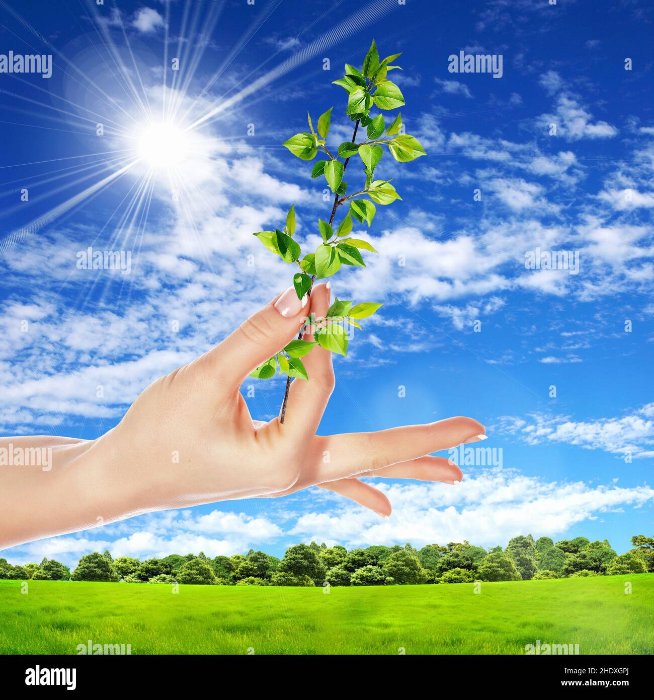 nature, environment, natur, natures, environments Stock Photo - Alamy