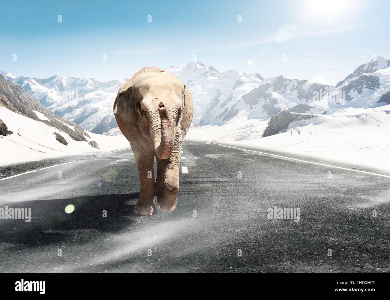 Ice age elephant hi-res stock photography and images - Alamy
