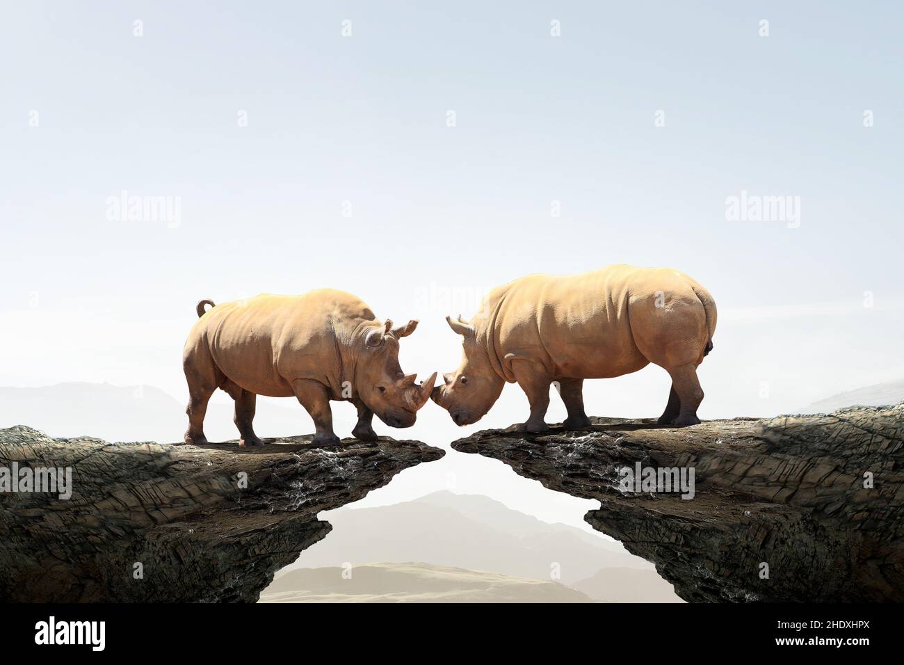 competition, fight, fighting, competitions, competitive, competitive ...