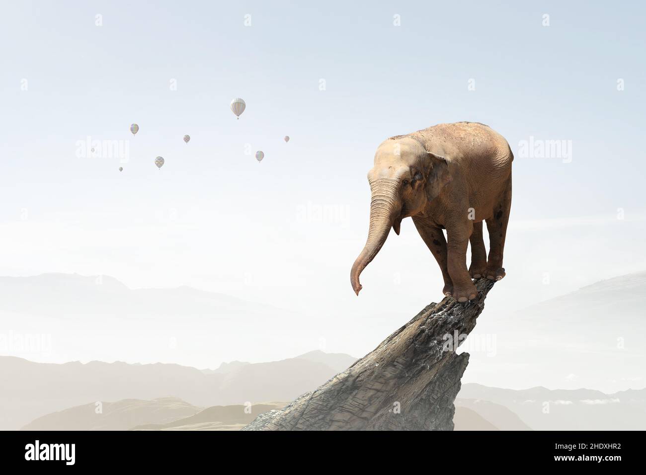 balance, summit, elephant, balances, summits, elephants Stock Photo - Alamy