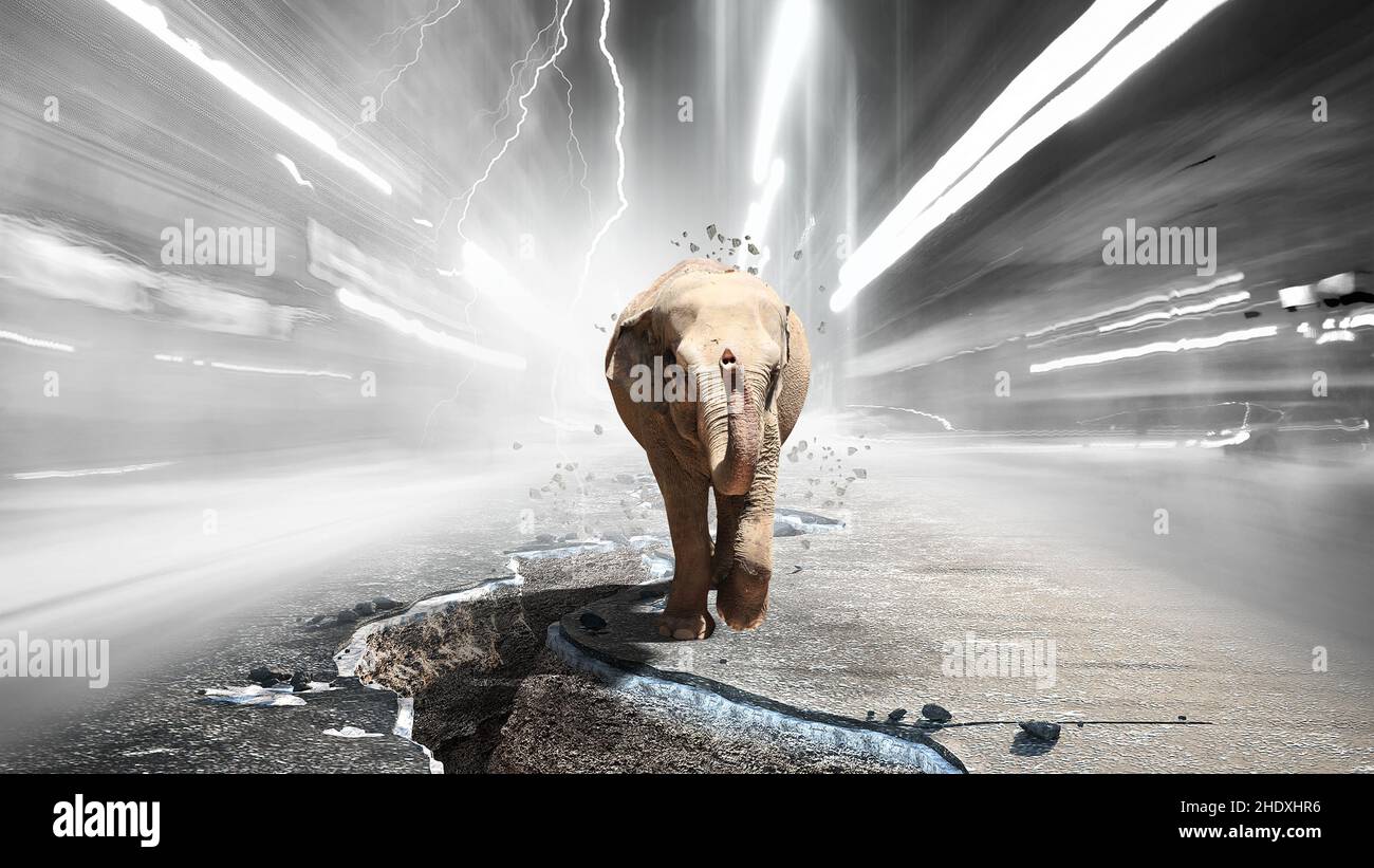 Elephant destruction hi-res stock photography and images - Alamy