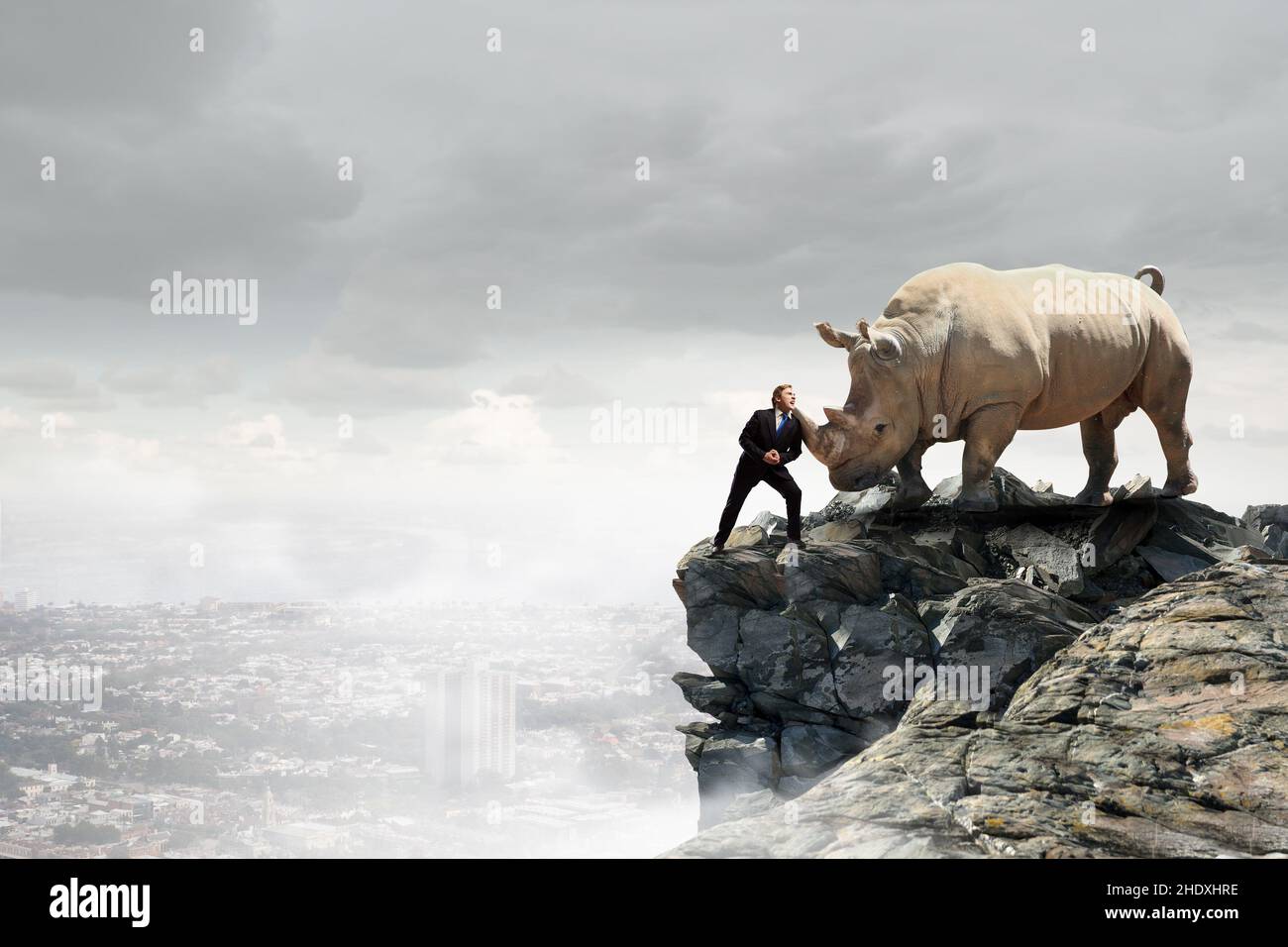 Rhinoceros executive hi-res stock photography and images - Alamy