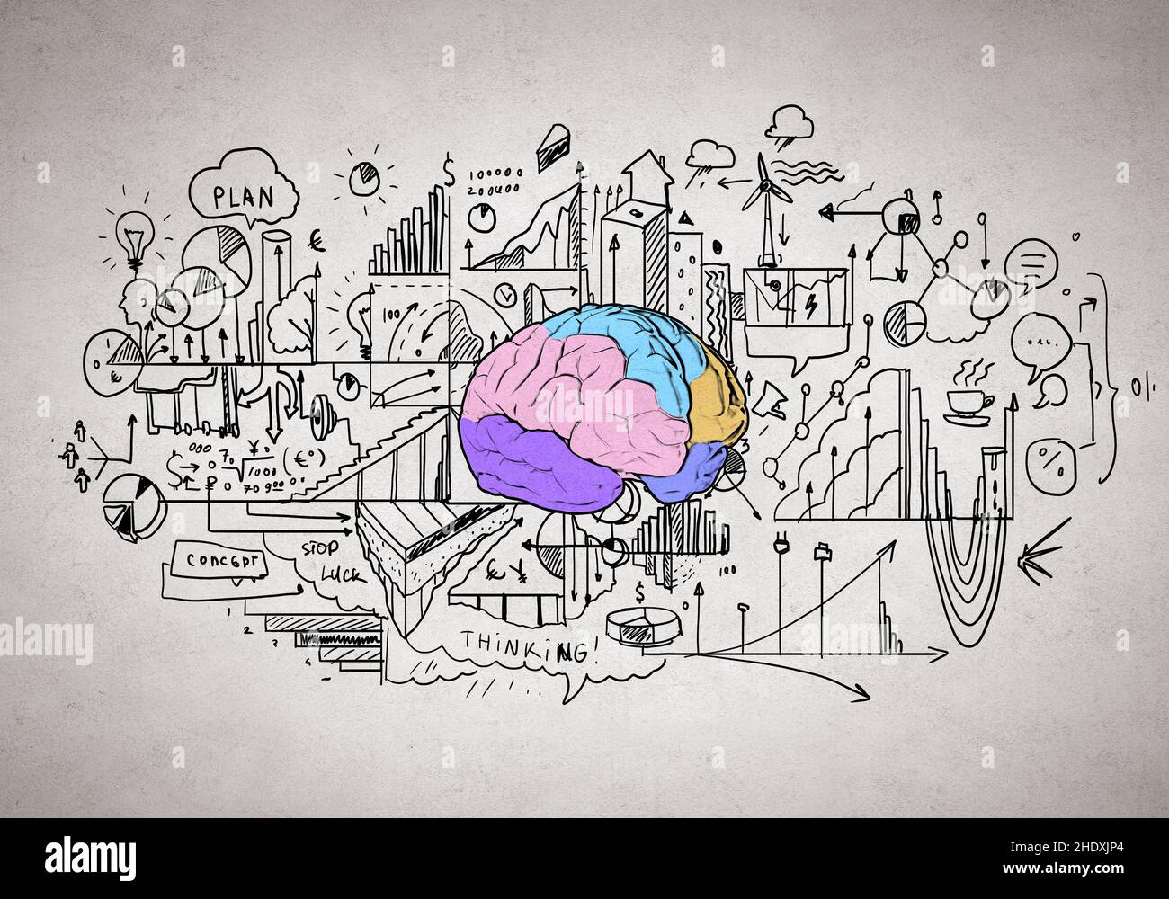 memory, anatomy, brain, memories, anatomies, brains Stock Photo - Alamy