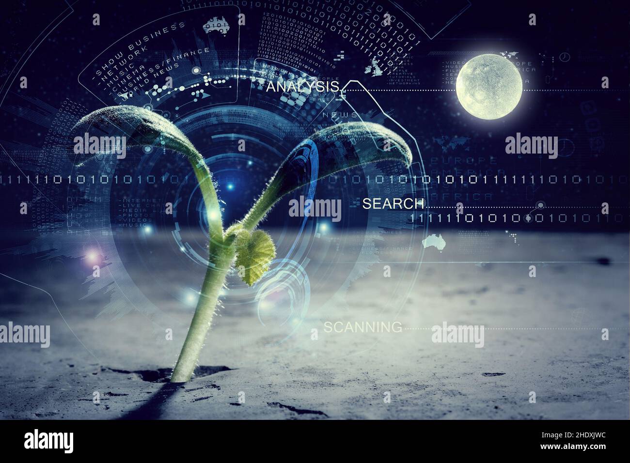 plant, research, science, plants, researchs, sciences Stock Photo - Alamy