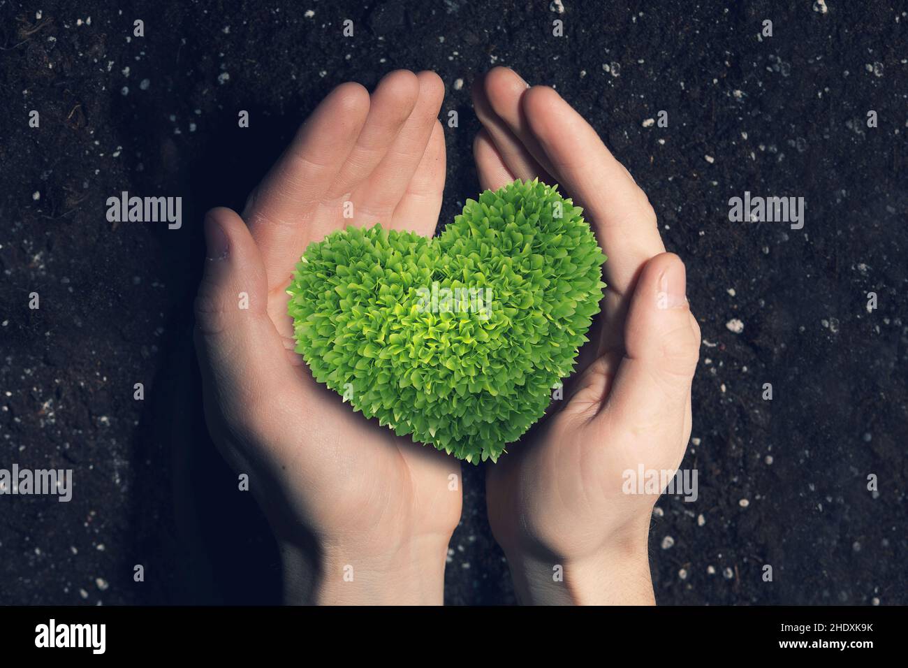 environment protection, environment, nature, ecology, environment ...