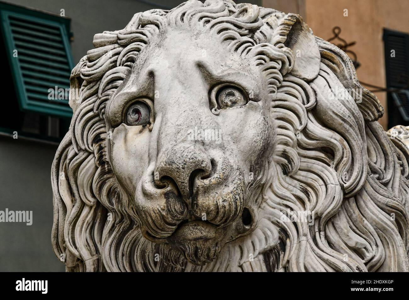 Close-up of the head of one of the two lions that flank the staircase ...