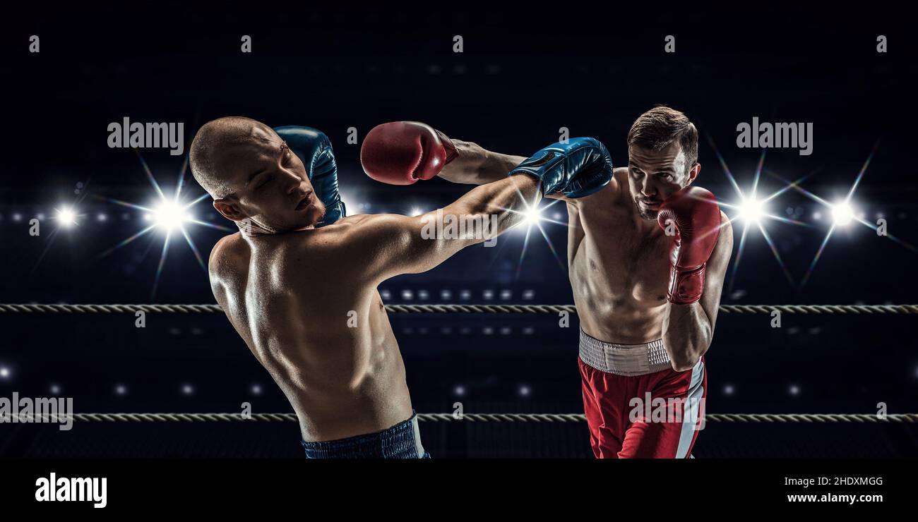 boxing, boxer, boxing ring, fighting, boxers, fighting ring Stock Photo ...