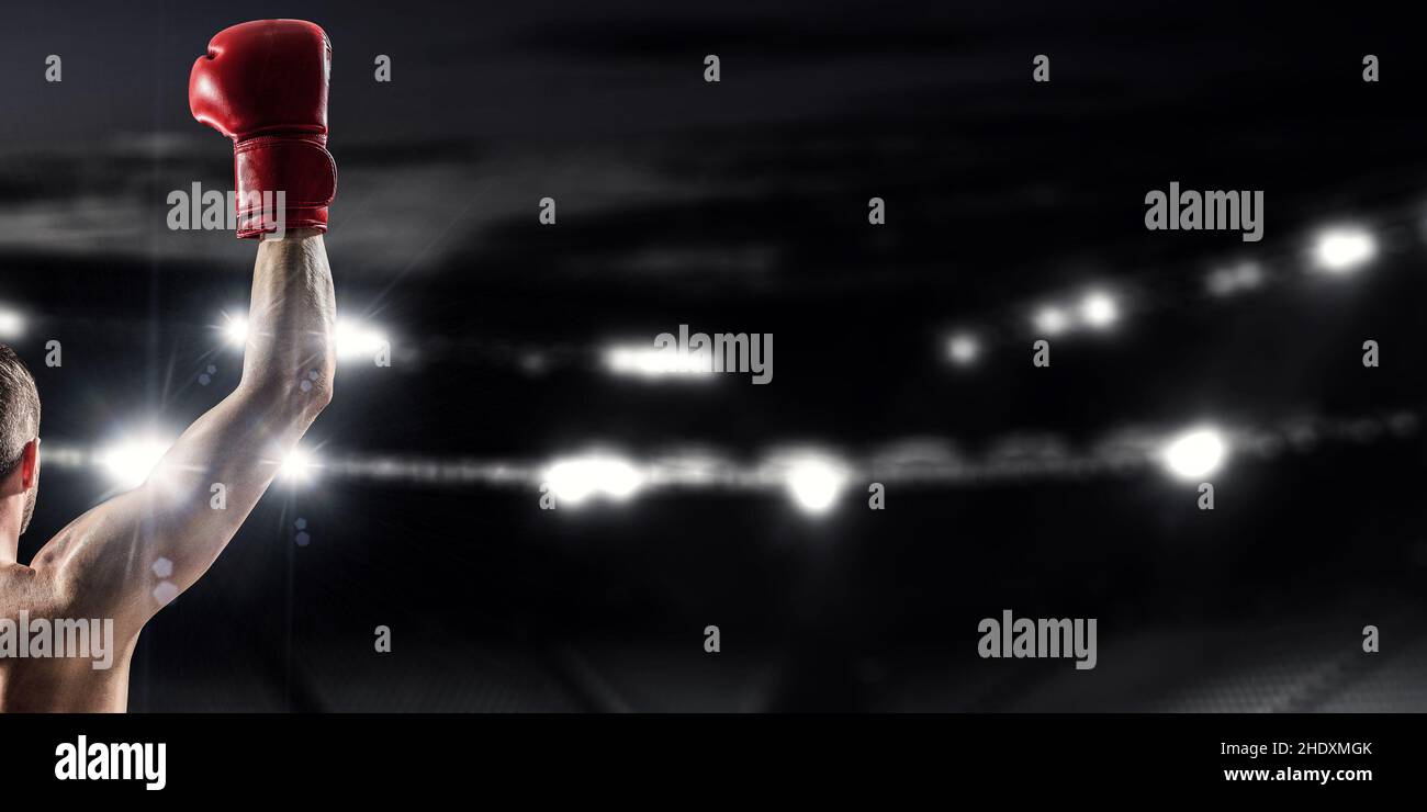 winner, winners, boxer, boxers Stock Photo - Alamy