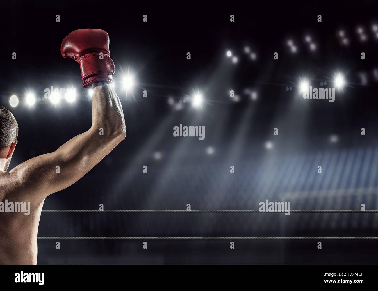 Boxing winner hi-res stock photography and images - Alamy