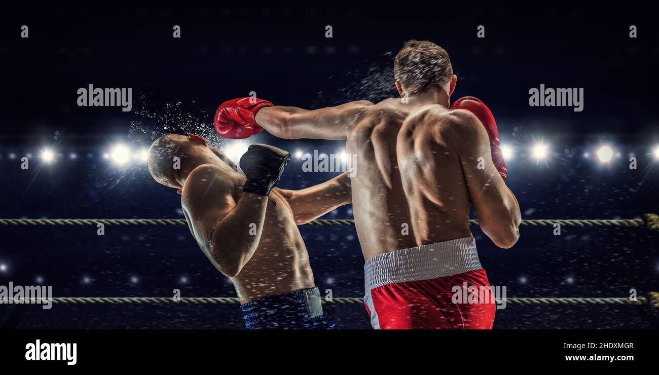 competition, boxing ring, competitions, competitive, competitive sport ...