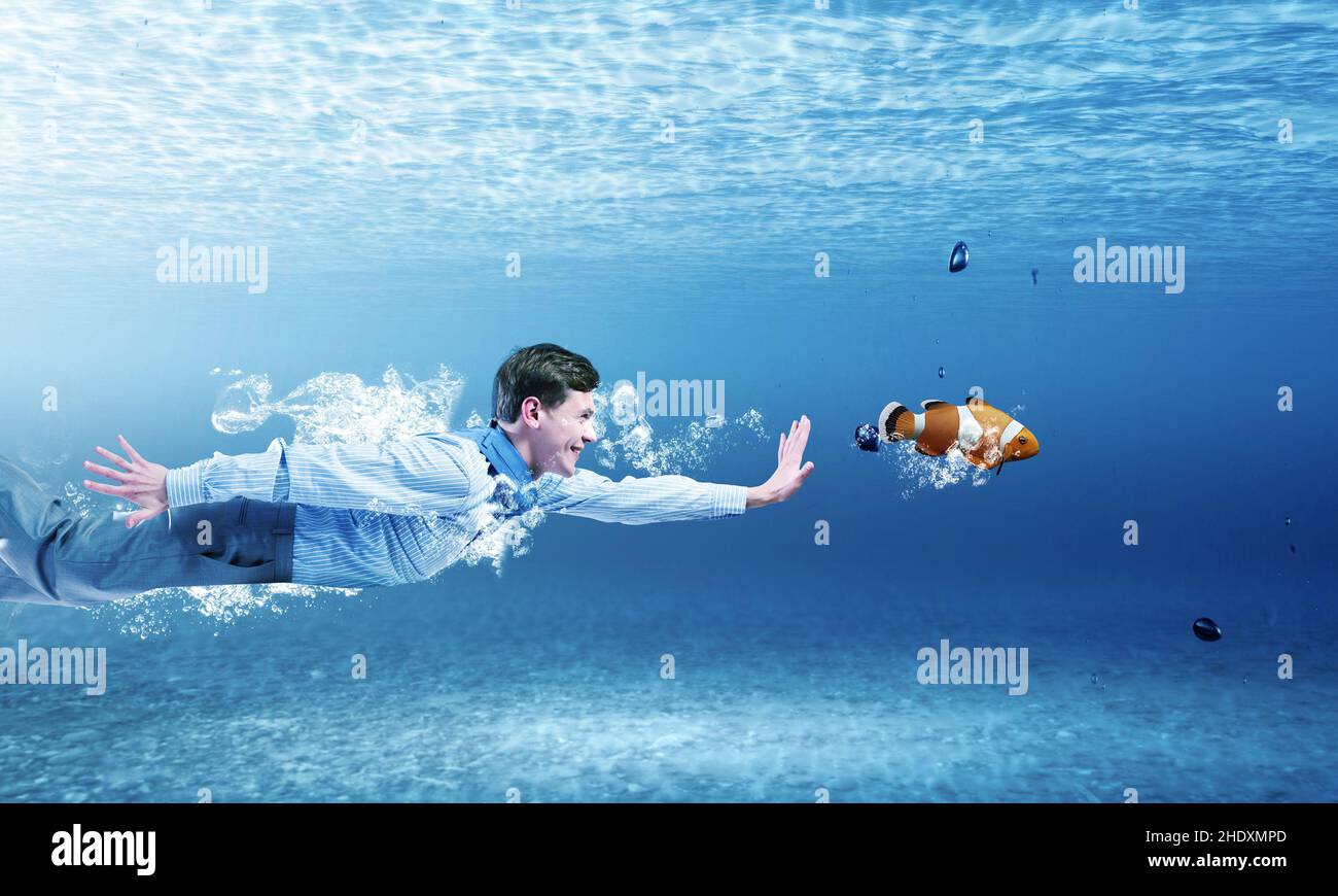 animals hunting, determined, capture, follow, determineds, captures ...