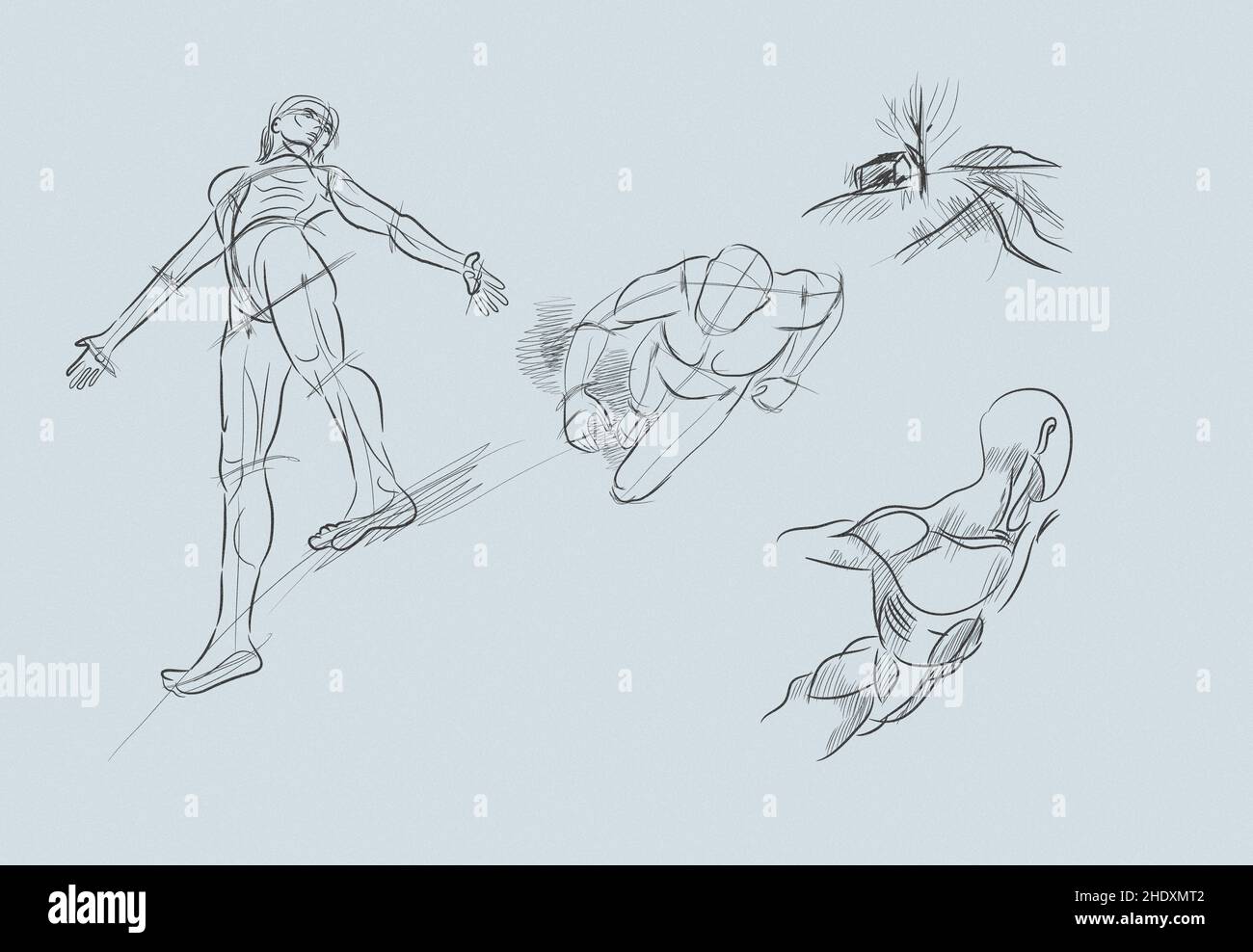 Anatomy drawings hi-res stock photography and images - Alamy