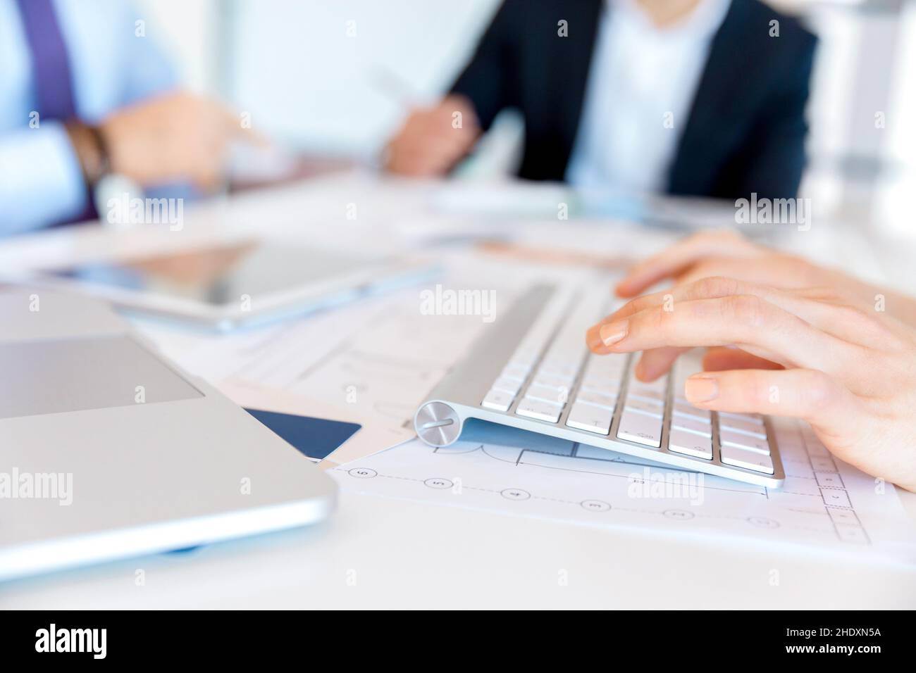 typing, meeting, protocol, stenographer, feedback, protocols Stock ...