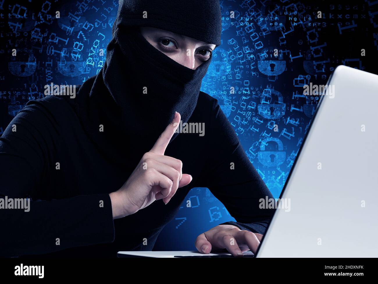 data theft, computer crime, hacker, hacking, data thefts, computer ...