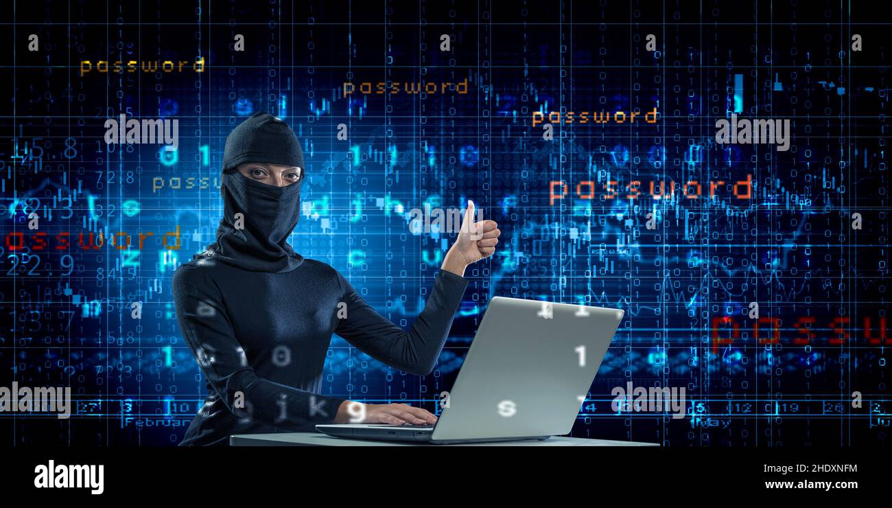 Crime Data Security Password Computer Crime Programming Hacker