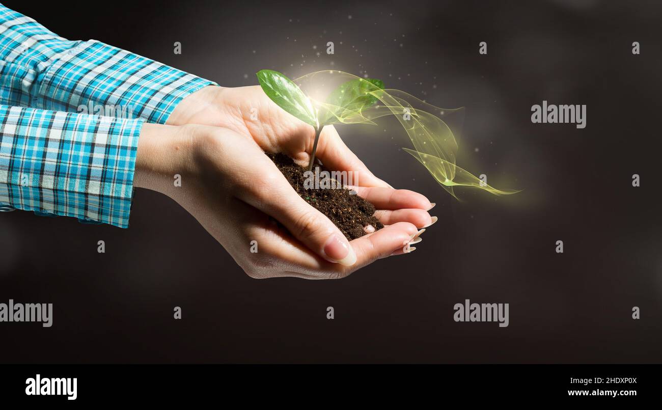 growth, life, miracle, growths, rise, lifes, living, miracles Stock ...