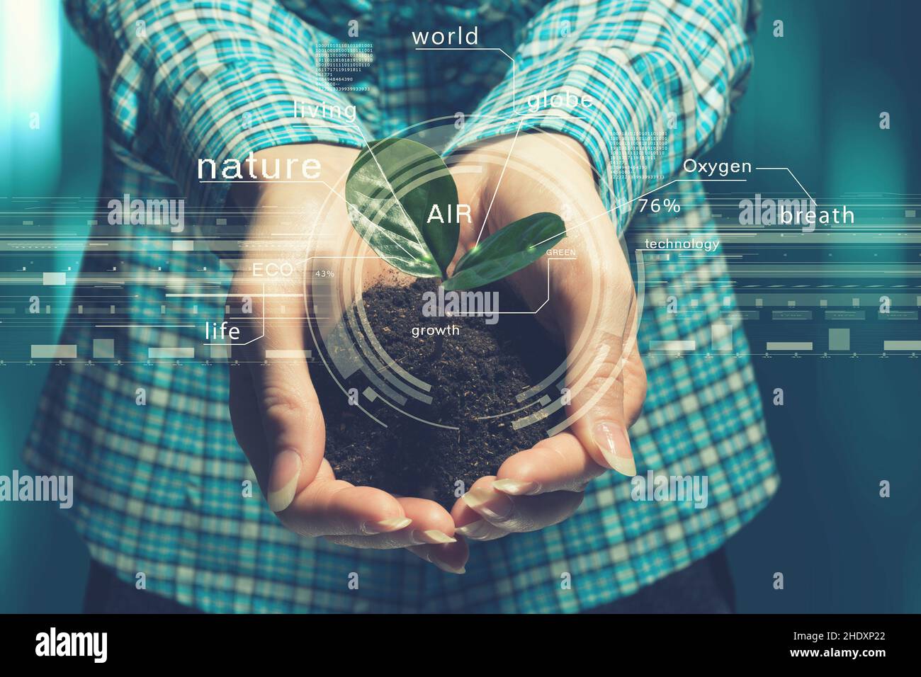 growth, life, growths, rise, lifes, living Stock Photo - Alamy