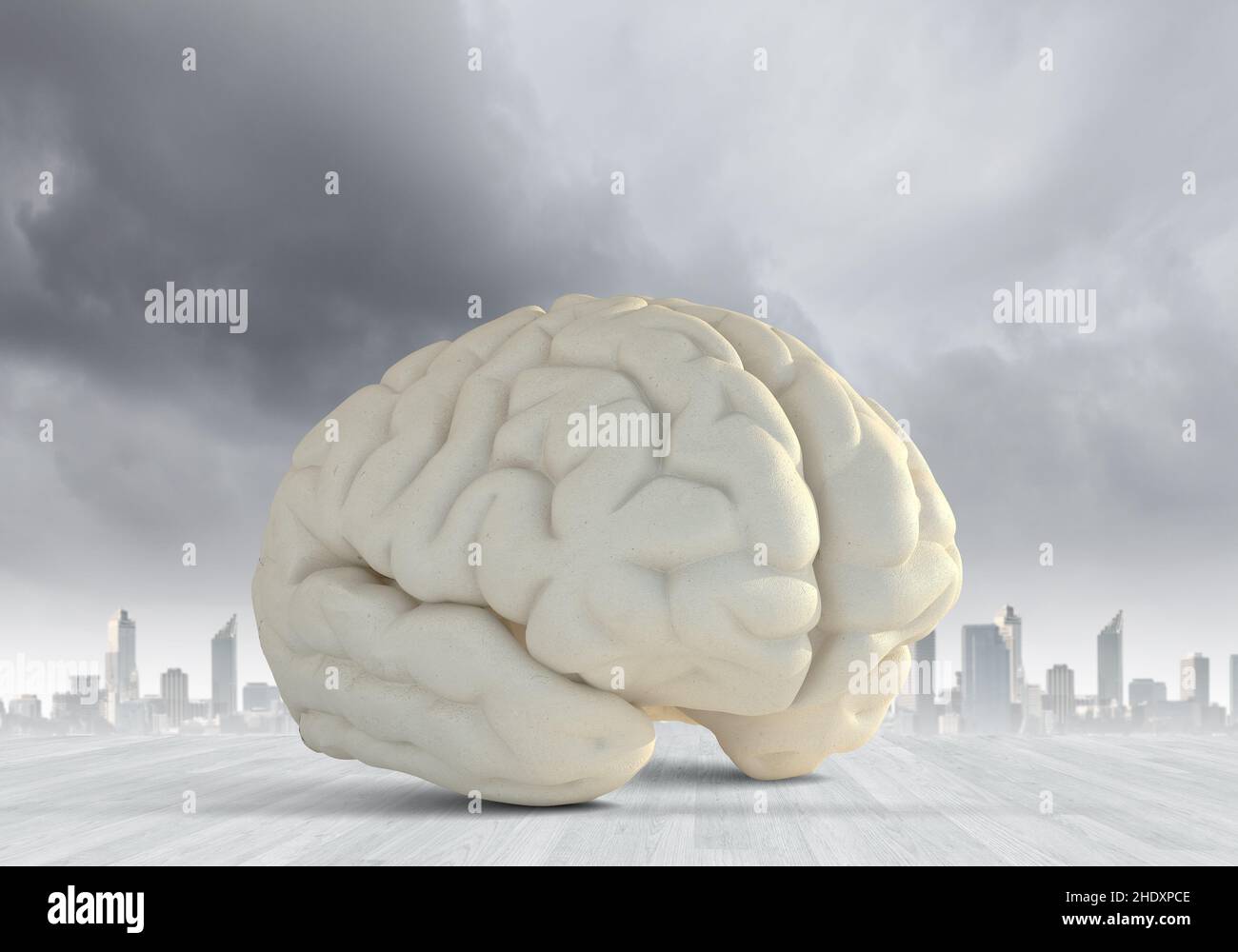 wisdom, intelligence, brain, wisdoms, intelligences, brains Stock Photo ...