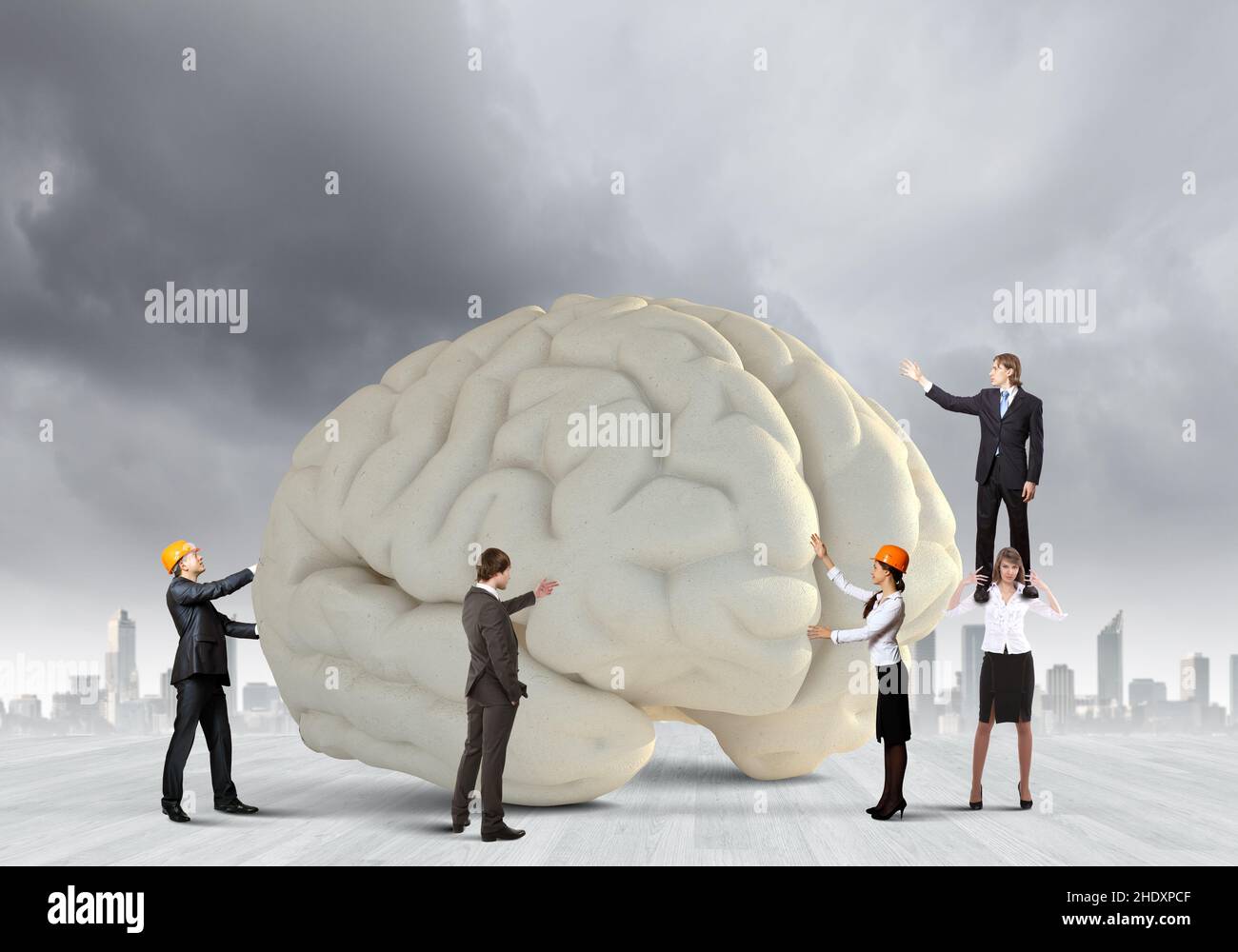 explore, neurobiology, brain research, explores, neurobiologies Stock ...