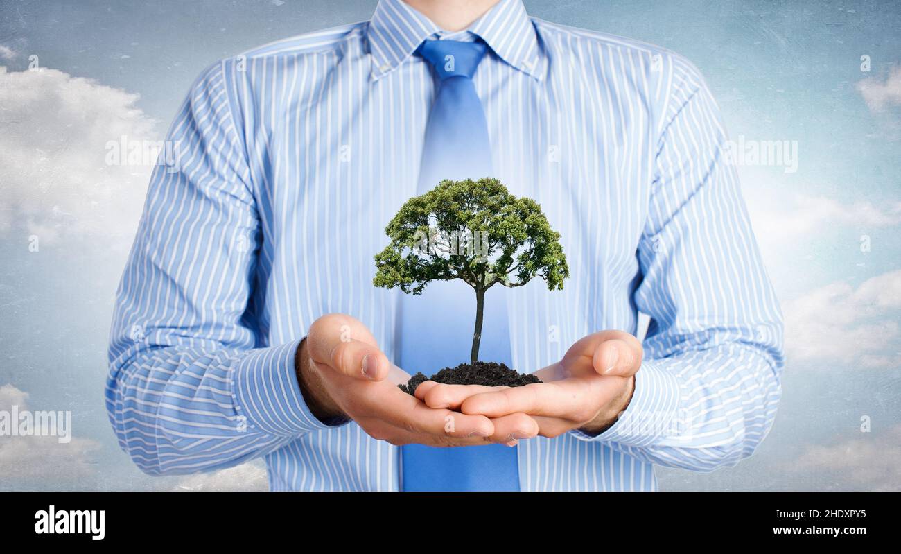 environment protection, ecology, responsibility, environment ...