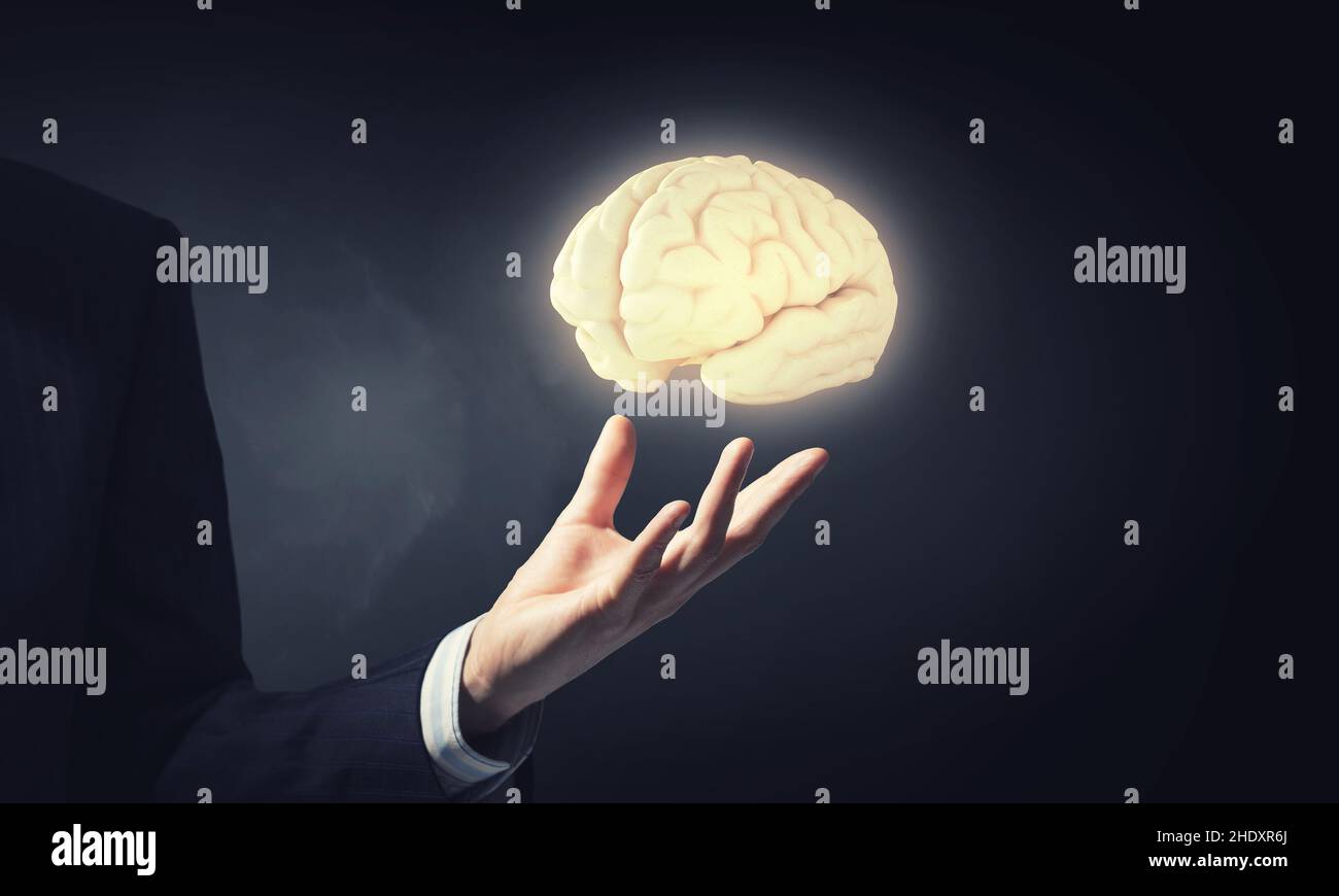 knowlege, intelligence, brain, knowleges, intelligences, brains Stock ...