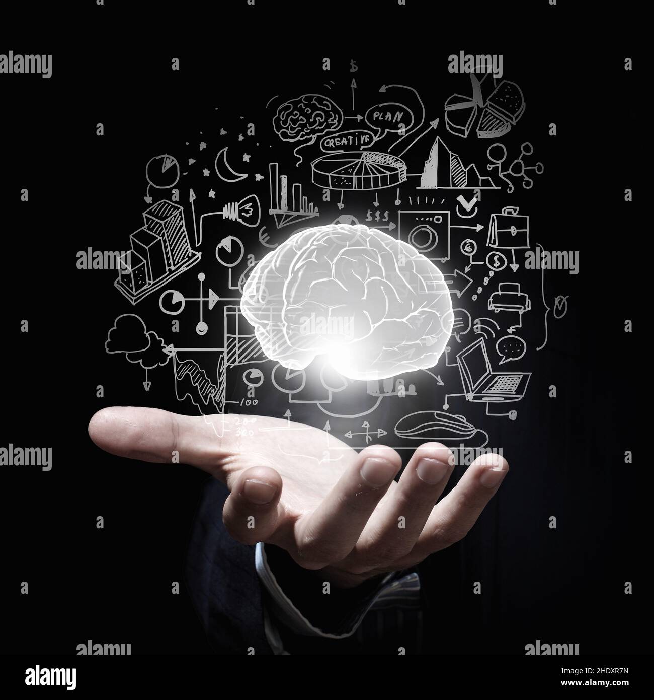 knowlege, intelligence, brain, knowleges, intelligences, brains Stock ...